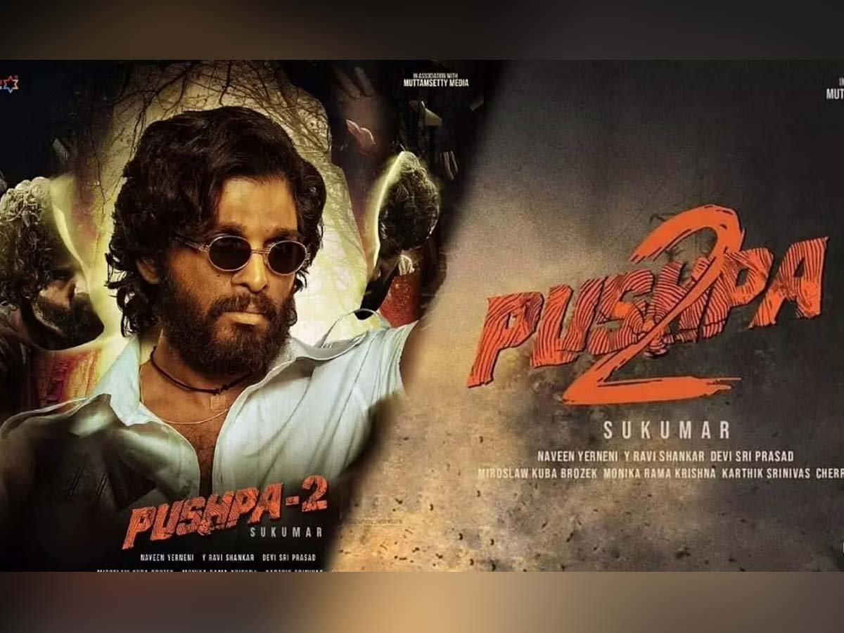 About Pushpa 2 Release - Hindustan Pioneer