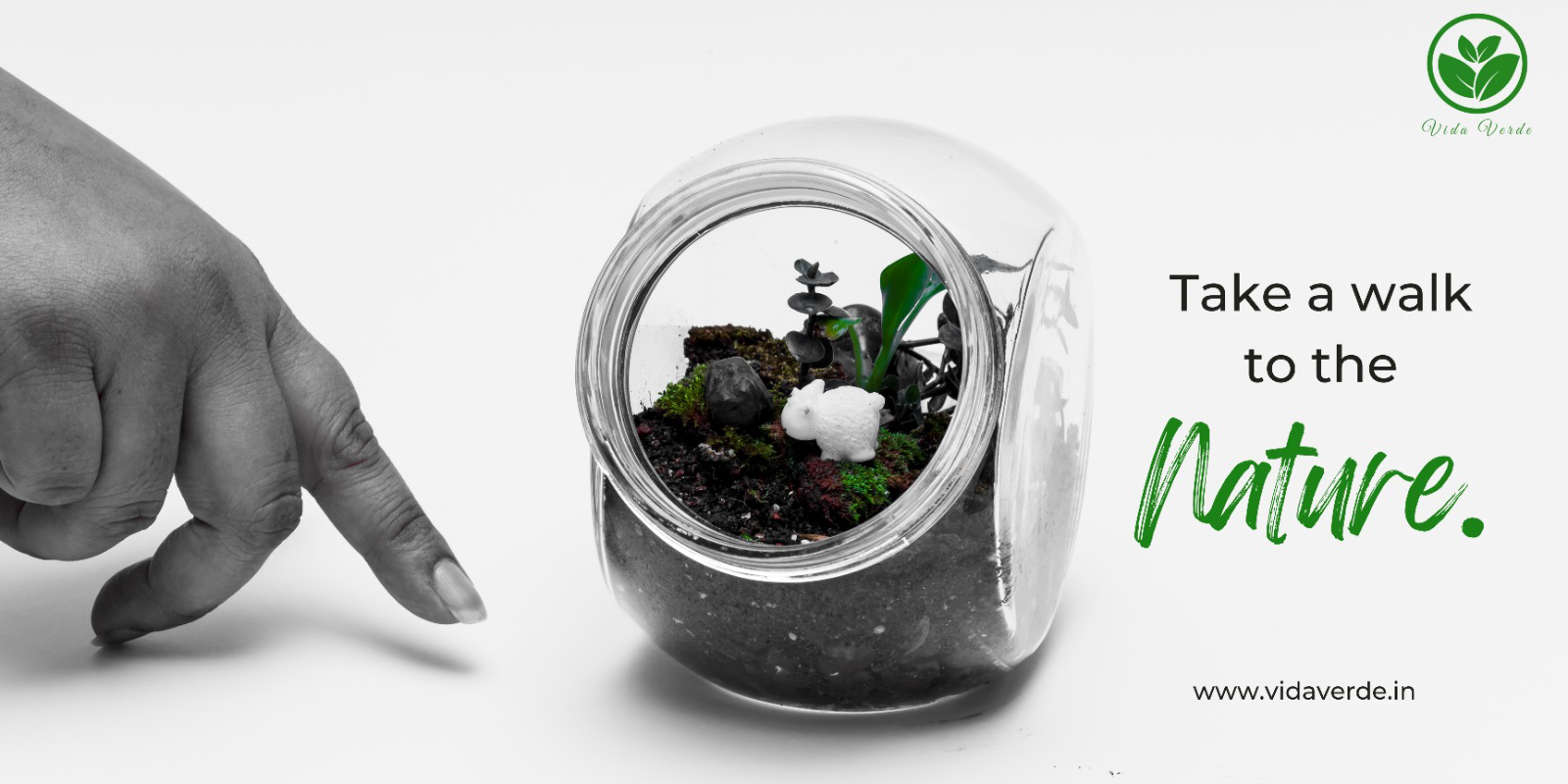 Introducing Vida Verde: The Indoor Plants Business Bringing Nature into ...
