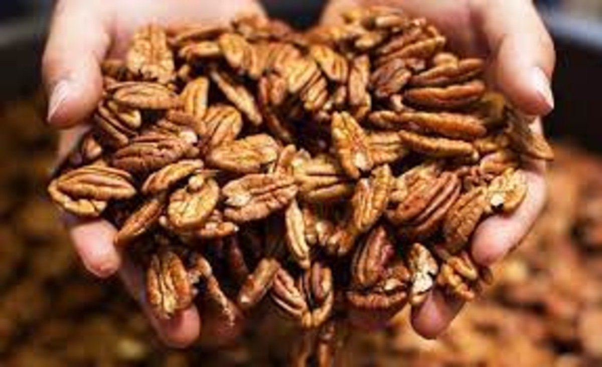 Pecans: The Fall Superfood with Year-Round Health Benefits - Hindustan ...